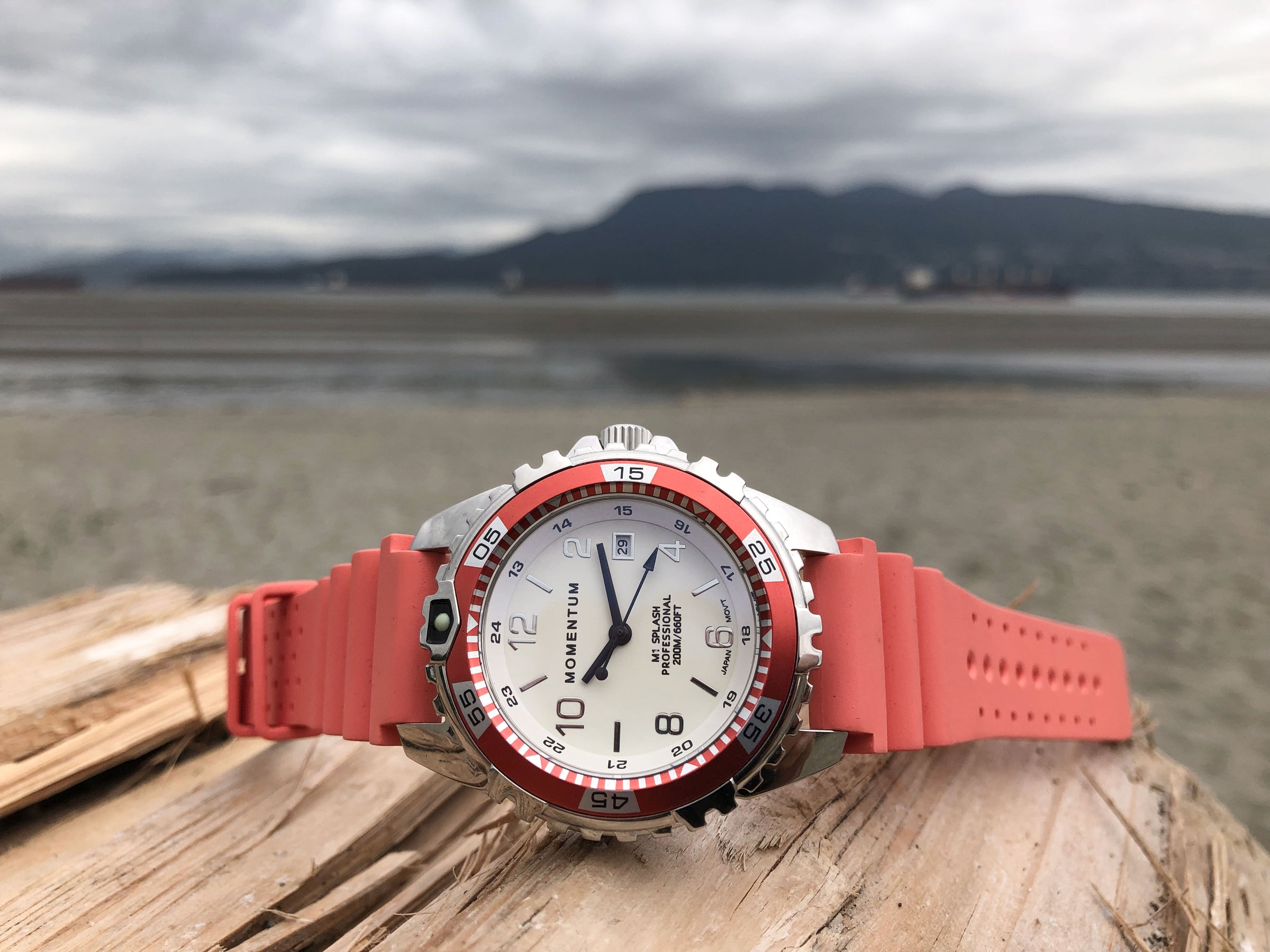 Splash [38mm] | Unisex Dive Watch | Momentum Watches